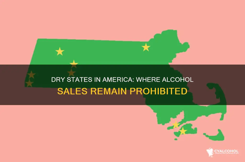 Dry States In America: Where Alcohol Sales Remain Prohibited | CyAlcohol