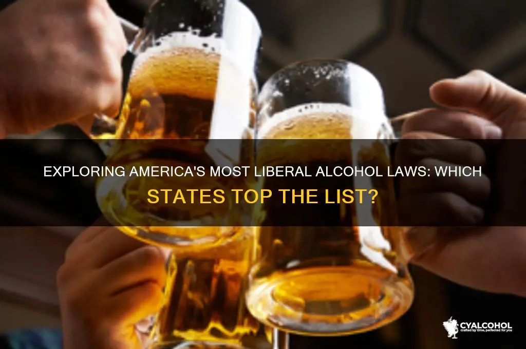Exploring America's Most Liberal Alcohol Laws: Which States Top The ...