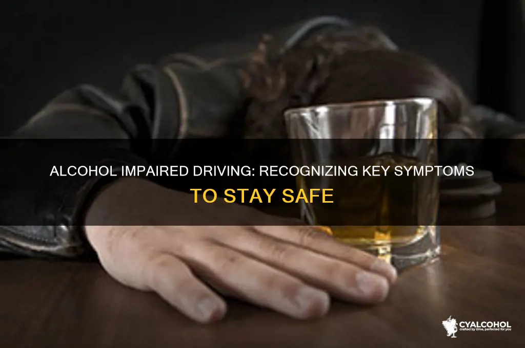 Alcohol Impaired Driving: Recognizing Key Symptoms To Stay Safe | CyAlcohol