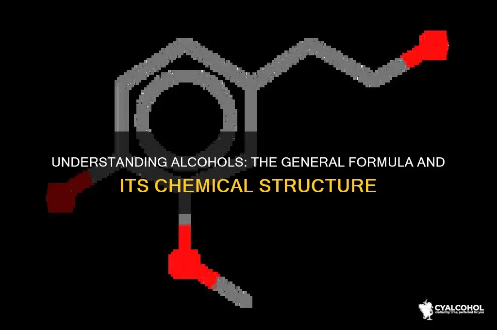 Understanding Alcohols: The General Formula And Its Chemical Structure ...