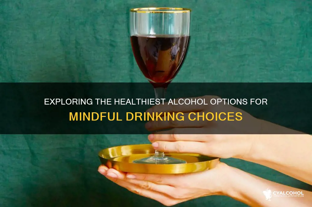 Exploring The Healthiest Alcohol Options For Mindful Drinking Choices ...