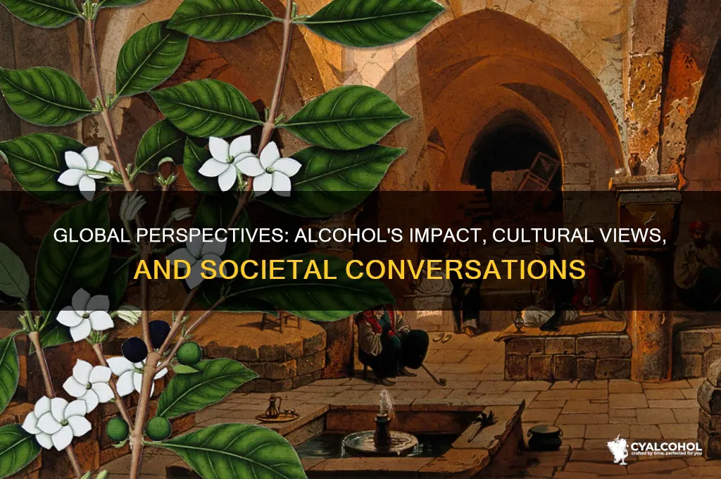 Global Perspectives: Alcohol's Impact, Cultural Views, And Societal ...