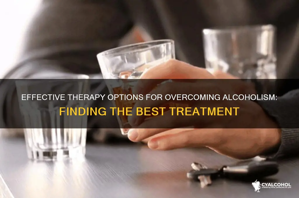 Effective Therapy Options For Overcoming Alcoholism: Finding The Best ...