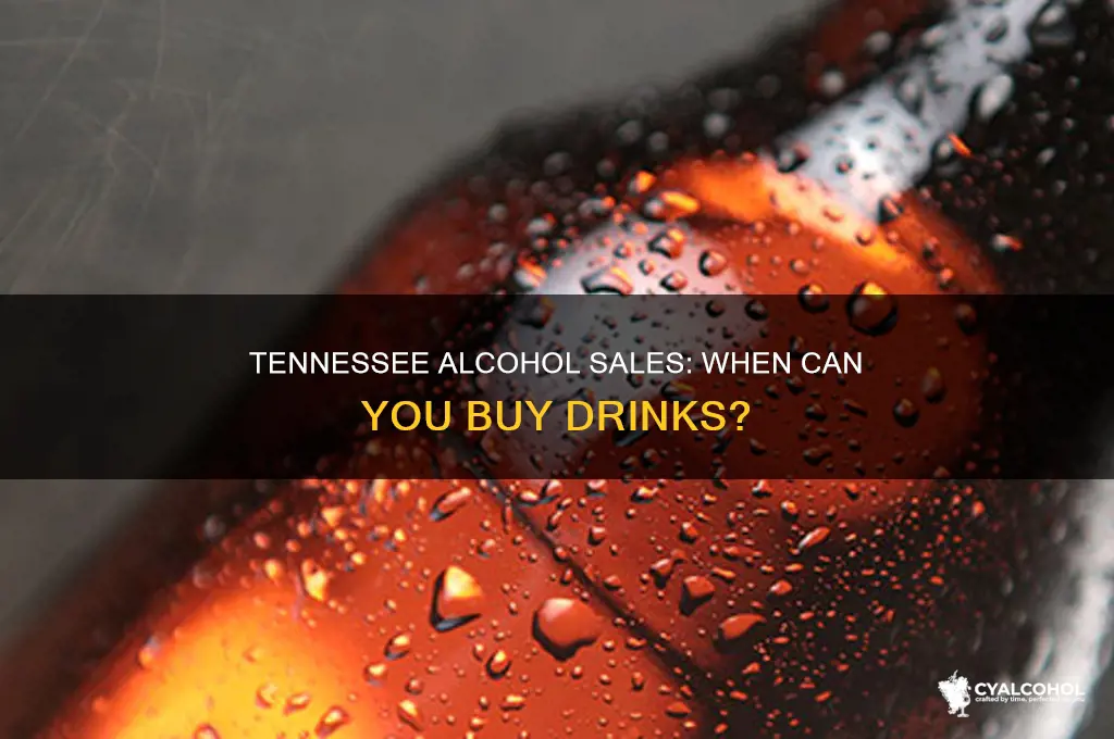 Tennessee Alcohol Sales: When Can You Buy Drinks? | CyAlcohol