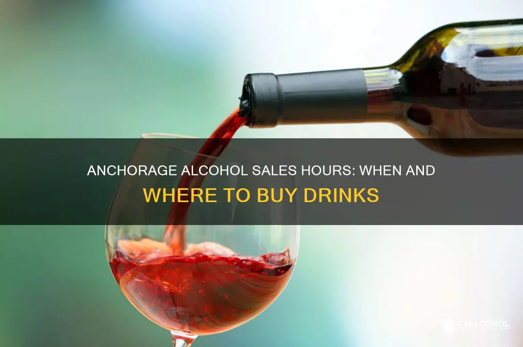 Anchorage Alcohol Sales Hours: When And Where To Buy Drinks | CyAlcohol
