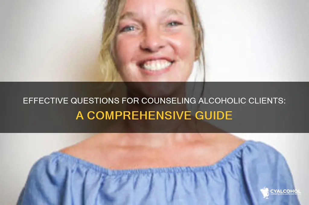 Effective Questions For Counseling Alcoholic Clients: A Comprehensive ...