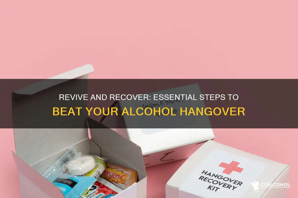 Revive And Recover: Essential Steps To Beat Your Alcohol Hangover ...