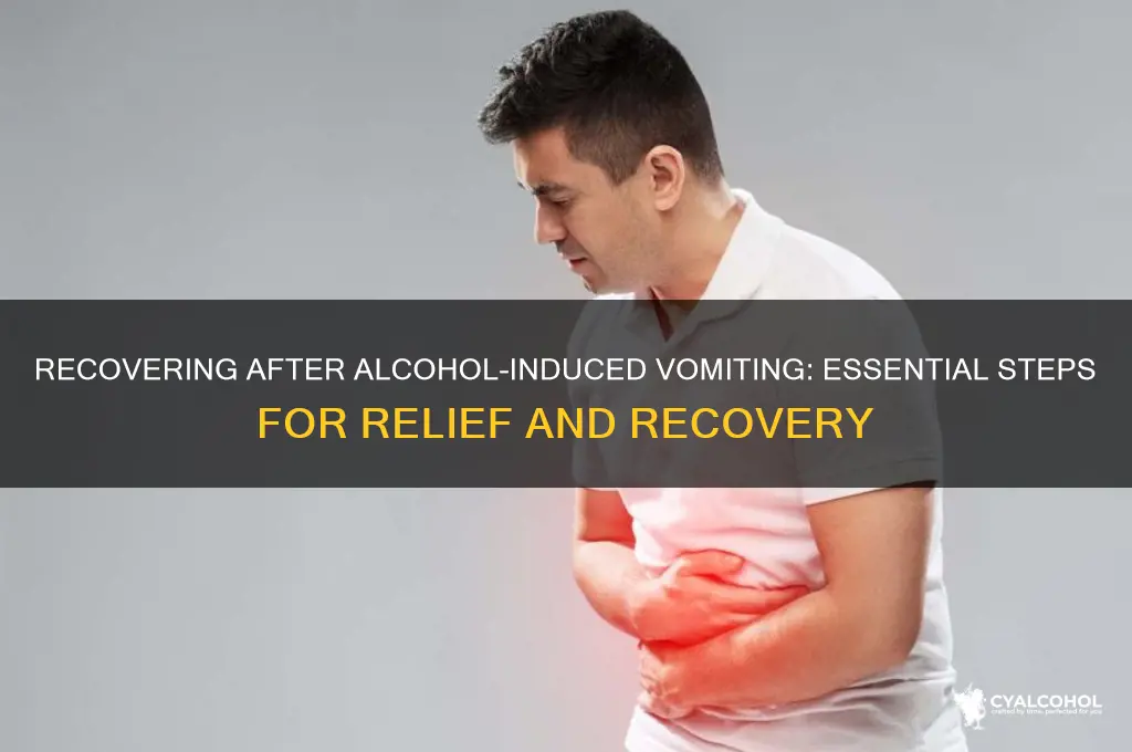 Recovering After Alcohol-Induced Vomiting: Essential Steps For Relief ...