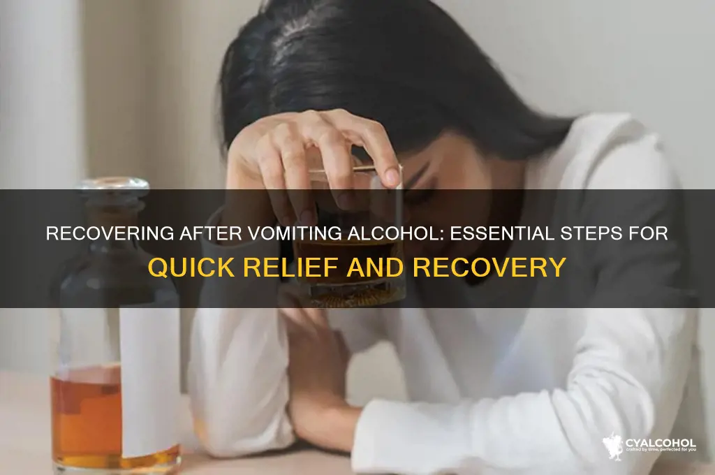 Recovering After Vomiting Alcohol: Essential Steps For Quick Relief And ...