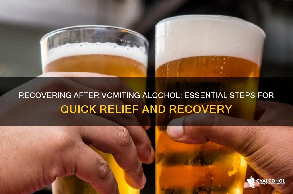 Recovering After Vomiting Alcohol: Essential Steps For Quick Relief And ...