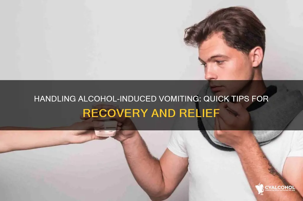 Handling Alcohol-Induced Vomiting: Quick Tips For Recovery And Relief ...