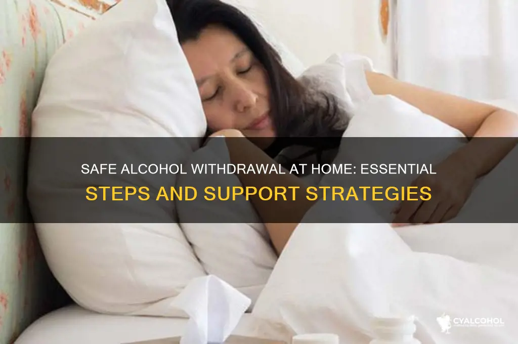 Safe Alcohol Withdrawal At Home: Essential Steps And Support Strategies ...