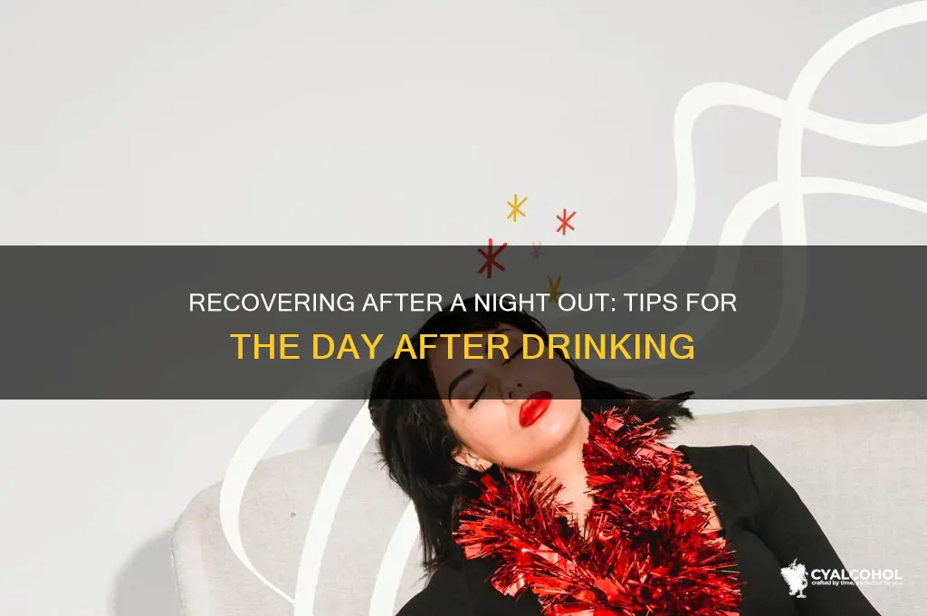 Recovering After A Night Out: Tips For The Day After Drinking | CyAlcohol
