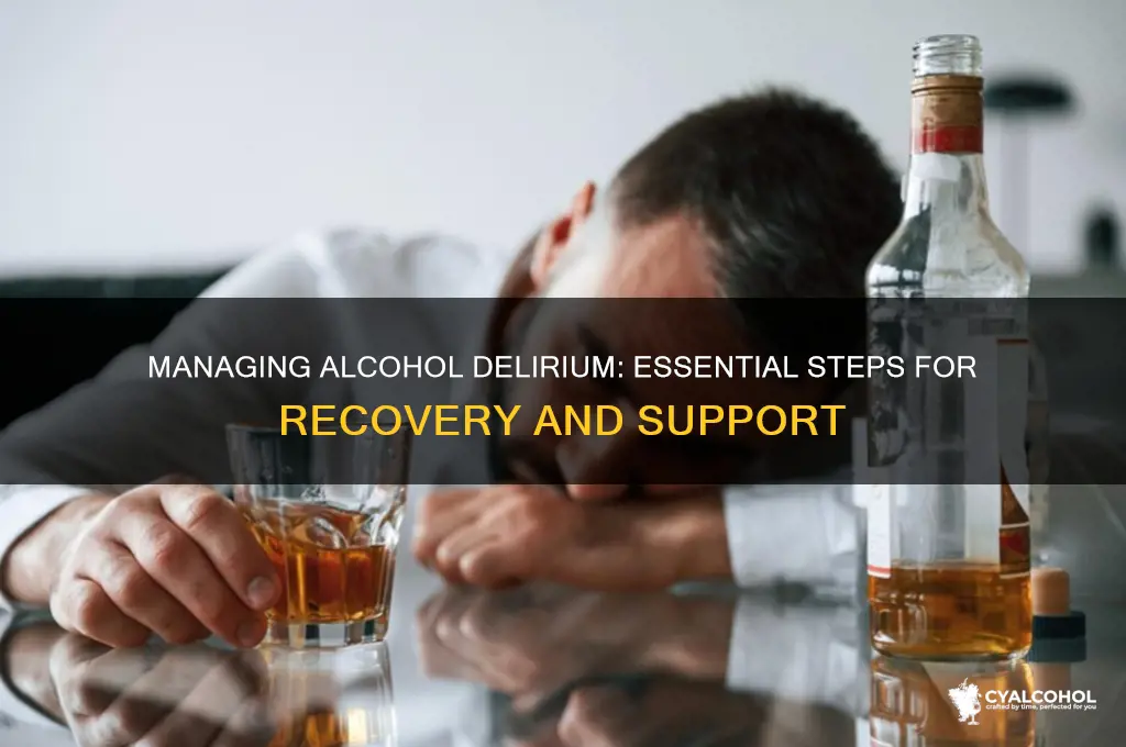 Managing Alcohol Delirium: Essential Steps For Recovery And Support ...