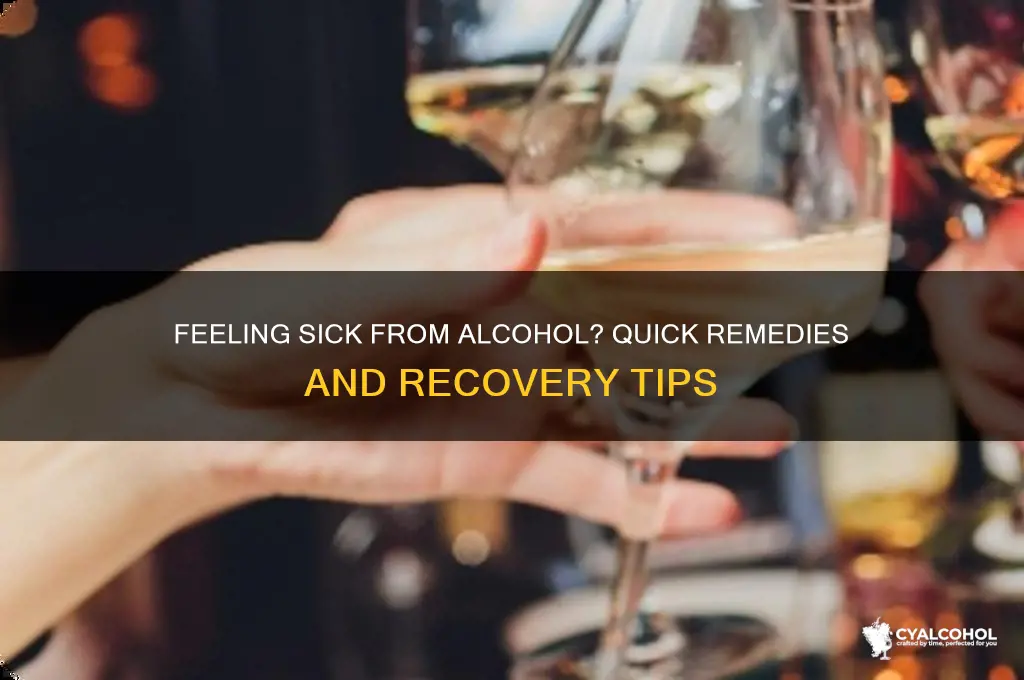 Feeling Sick From Alcohol? Quick Remedies And Recovery Tips | CyAlcohol