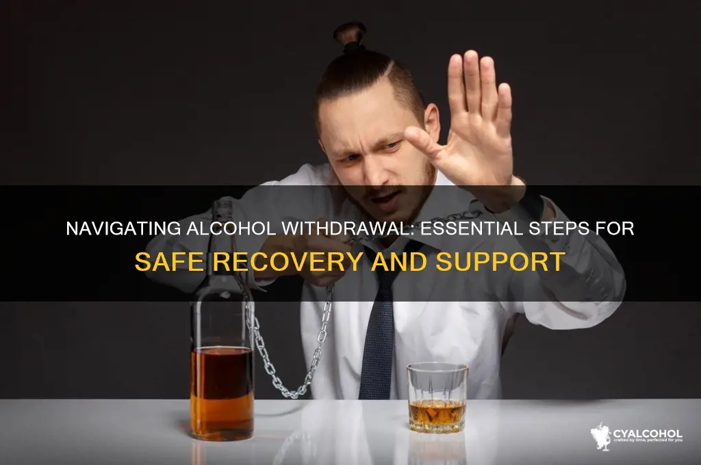 Navigating Alcohol Withdrawal: Essential Steps For Safe Recovery And ...