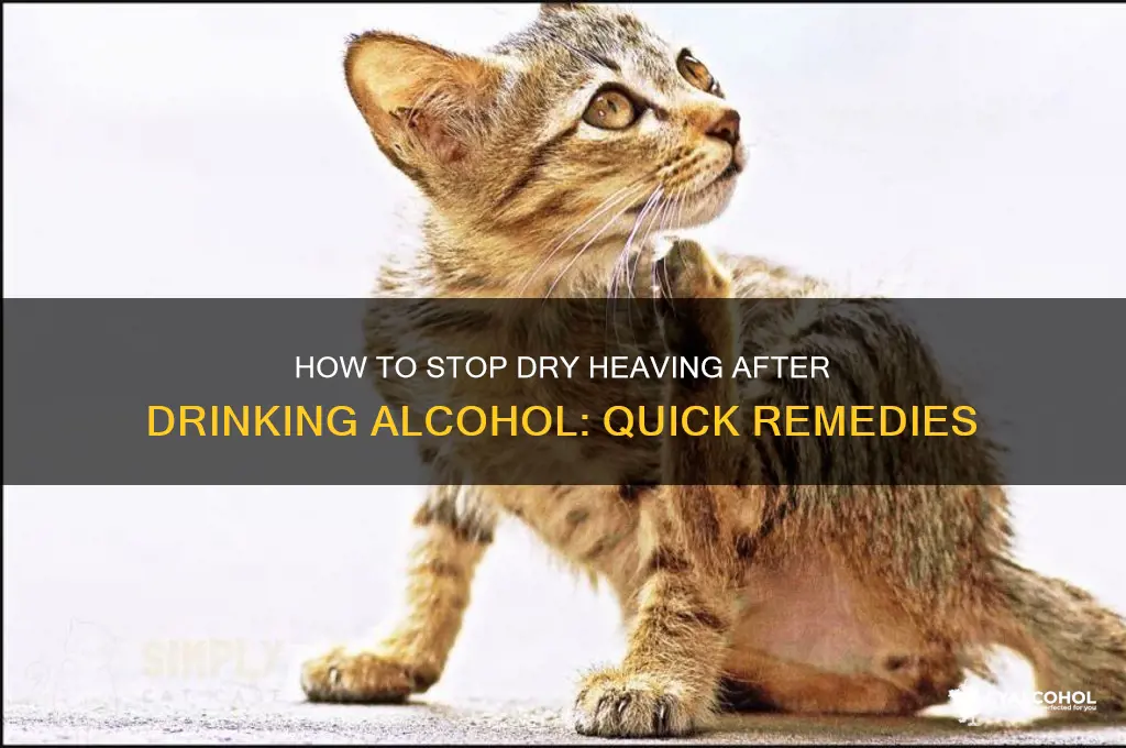 How To Stop Dry Heaving After Drinking Alcohol: Quick Remedies | CyAlcohol