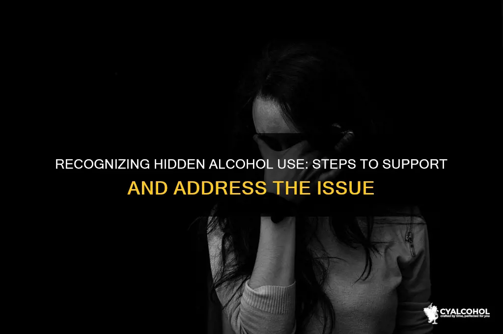 Recognizing Hidden Alcohol Use: Steps To Support And Address The Issue ...