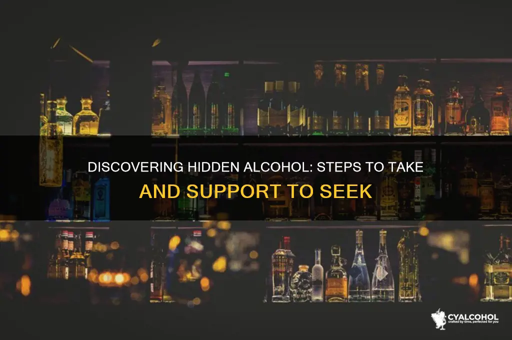 Discovering Hidden Alcohol: Steps To Take And Support To Seek | CyAlcohol