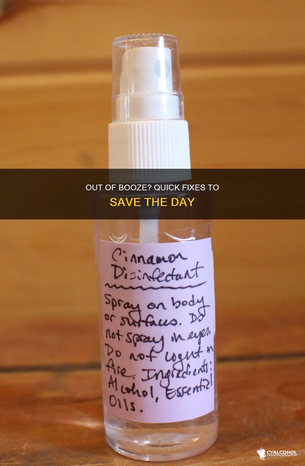 Out Of Booze? Quick Fixes To Save The Day | CyAlcohol