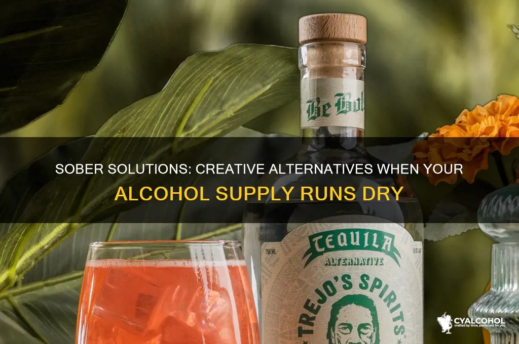 Sober Solutions: Creative Alternatives When Your Alcohol Supply Runs ...