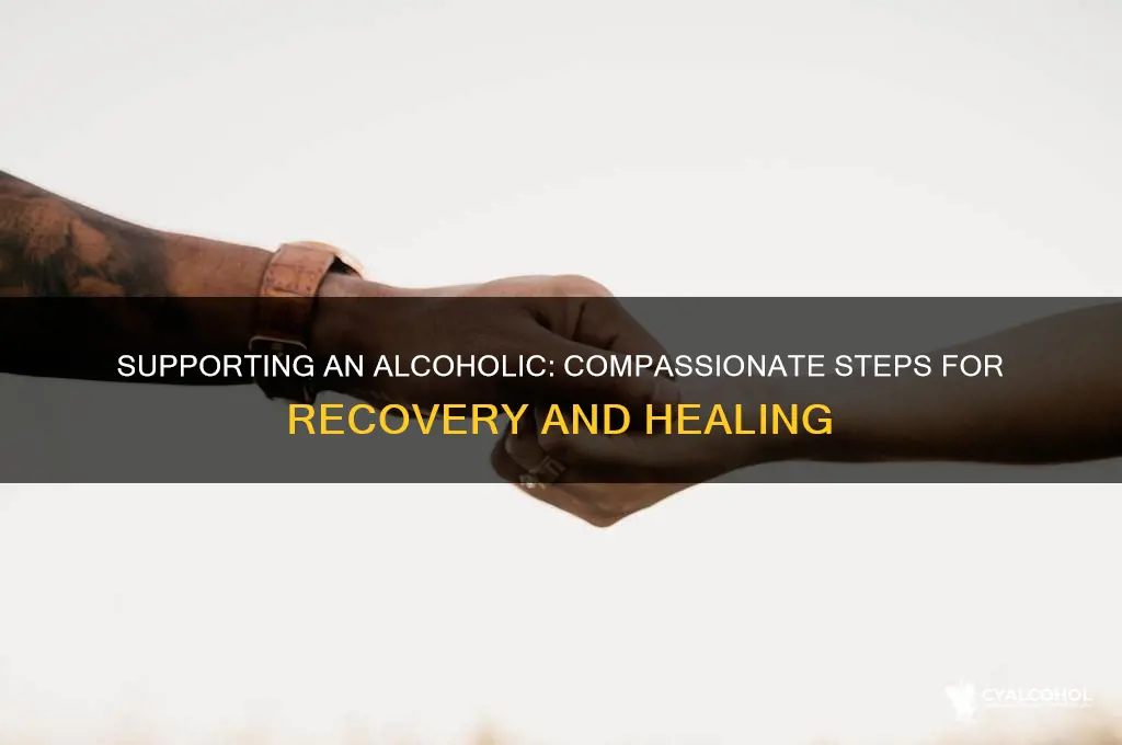 Supporting An Alcoholic: Compassionate Steps For Recovery And Healing ...