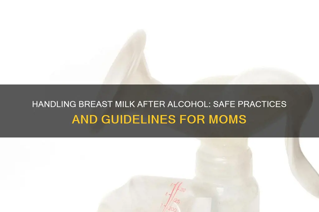 Handling Breast Milk After Alcohol: Safe Practices And Guidelines For ...