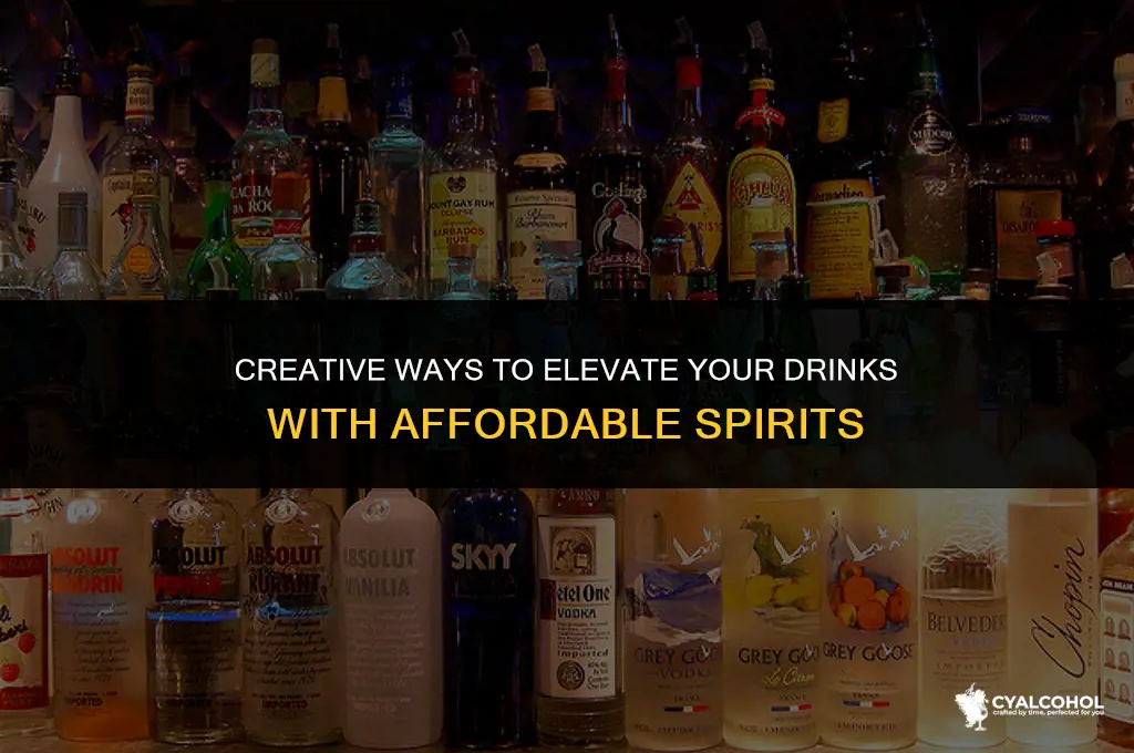 Creative Ways To Elevate Your Drinks With Affordable Spirits | CyAlcohol