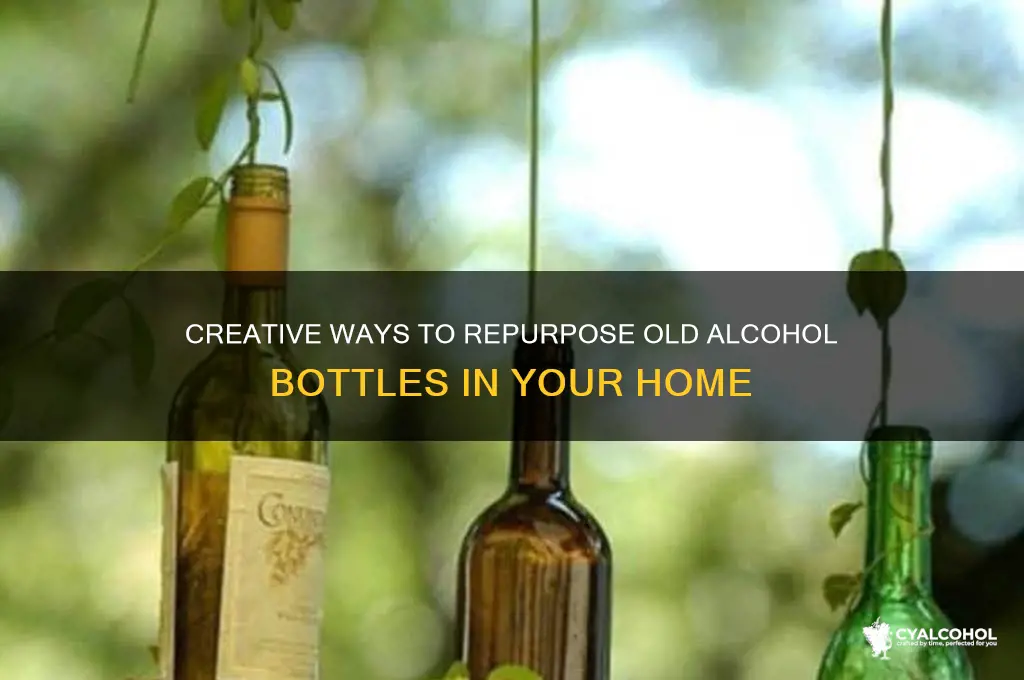 Creative Ways To Repurpose Old Alcohol Bottles In Your Home | CyAlcohol