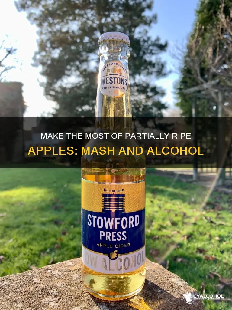 Make The Most Of Partially Ripe Apples: Mash And Alcohol | CyAlcohol