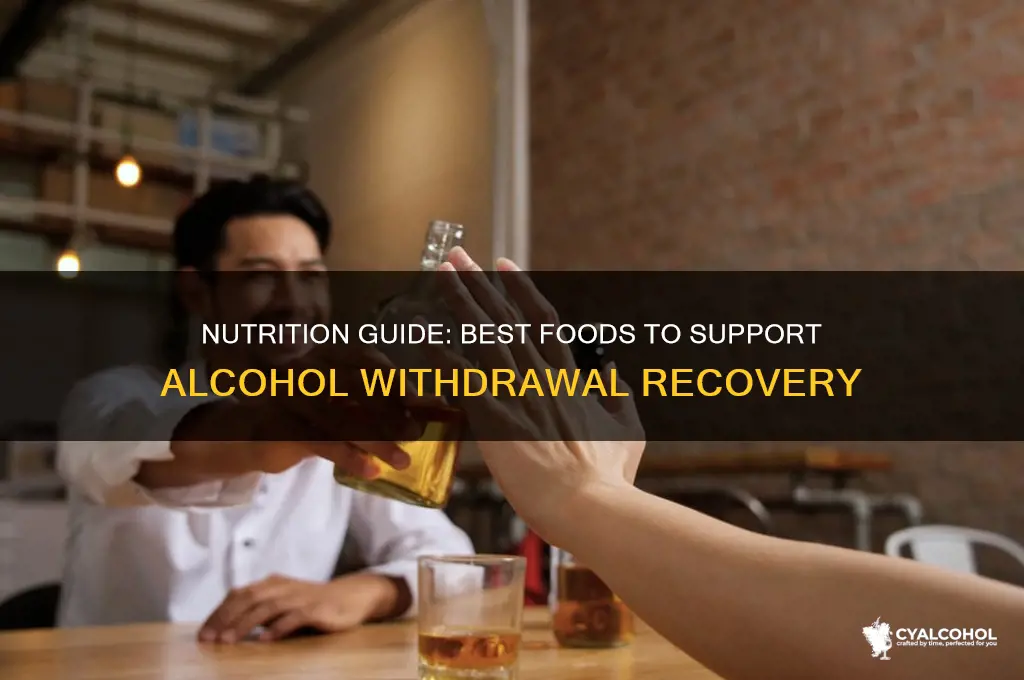 Nutrition Guide: Best Foods To Support Alcohol Withdrawal Recovery ...