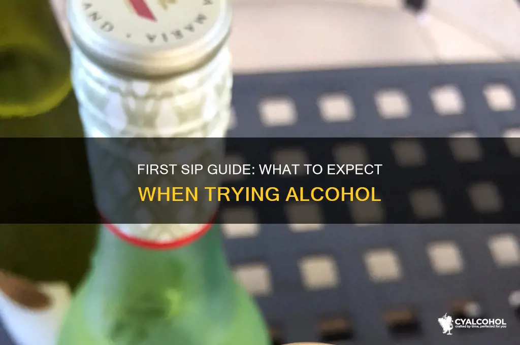 First Sip Guide: What To Expect When Trying Alcohol | CyAlcohol
