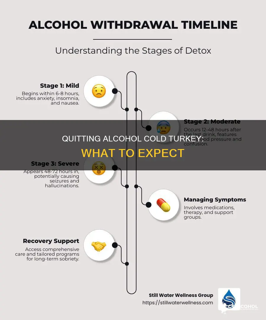 Quitting Alcohol Cold Turkey: What To Expect | CyAlcohol
