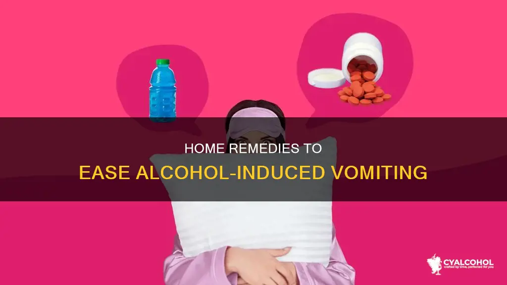 Home Remedies To Ease Alcohol-Induced Vomiting | CyAlcohol