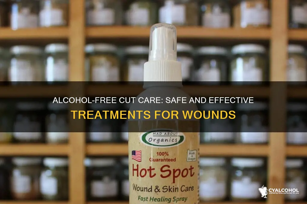 Alcohol-Free Cut Care: Safe And Effective Treatments For Wounds | CyAlcohol
