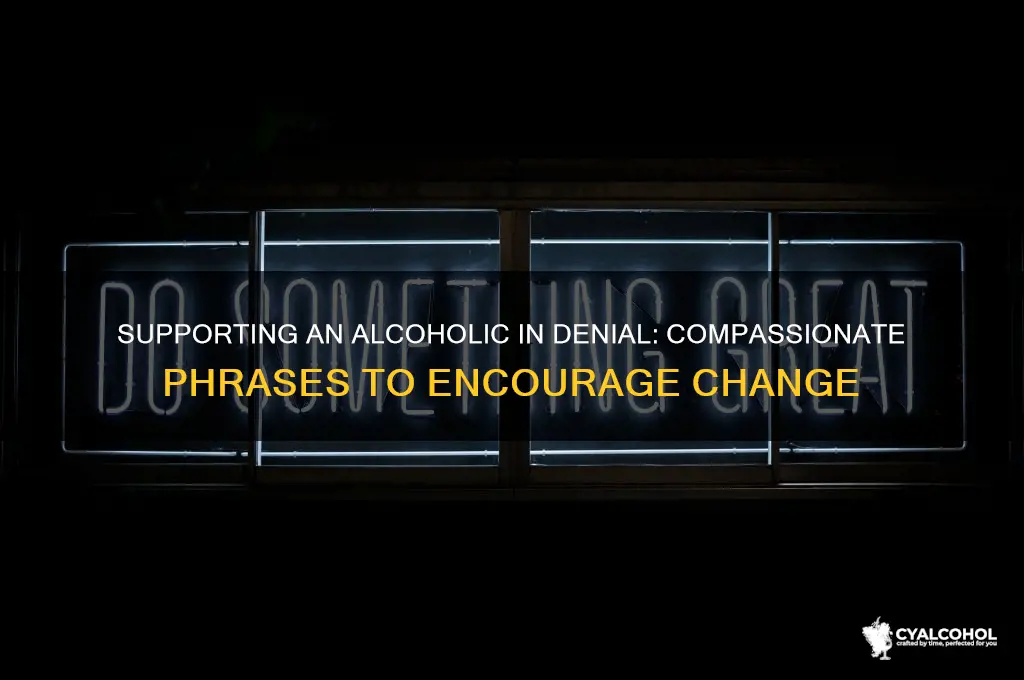 Supporting An Alcoholic In Denial: Compassionate Phrases To Encourage ...
