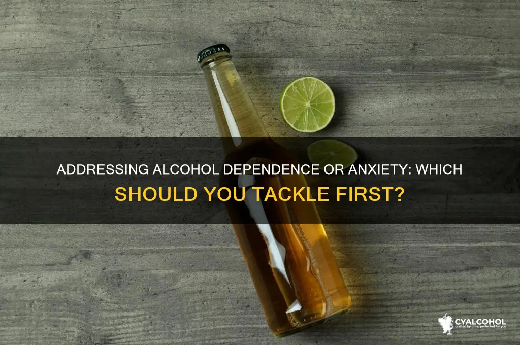 Addressing Alcohol Dependence Or Anxiety: Which Should You Tackle First ...