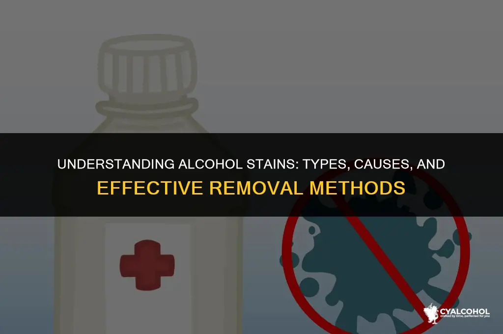 Understanding Alcohol Stains: Types, Causes, And Effective Removal ...
