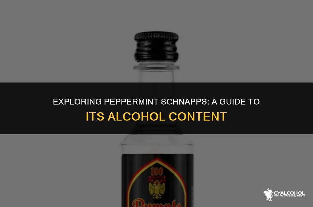 Exploring Peppermint Schnapps: A Guide To Its Alcohol Content | CyAlcohol