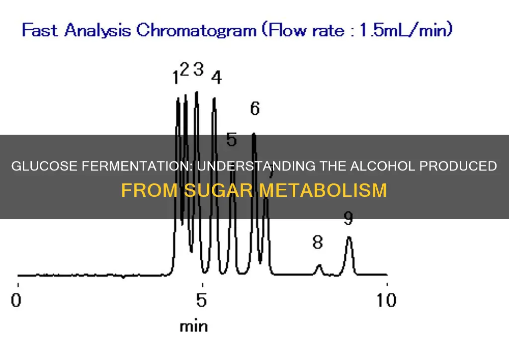Glucose Fermentation: Understanding The Alcohol Produced From Sugar ...