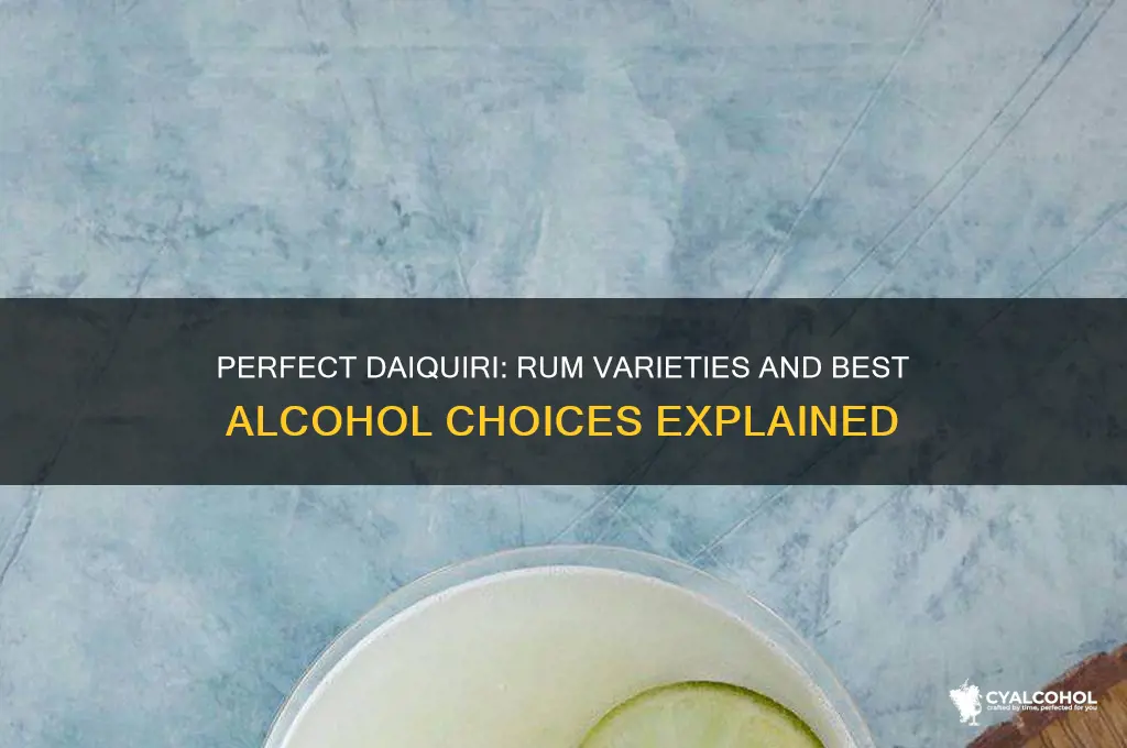 Perfect Daiquiri: Rum Varieties And Best Alcohol Choices Explained ...
