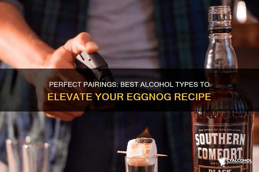 Perfect Pairings: Best Alcohol Types To Elevate Your Eggnog Recipe ...