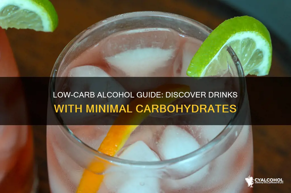 Low-Carb Alcohol Guide: Discover Drinks With Minimal Carbohydrates ...