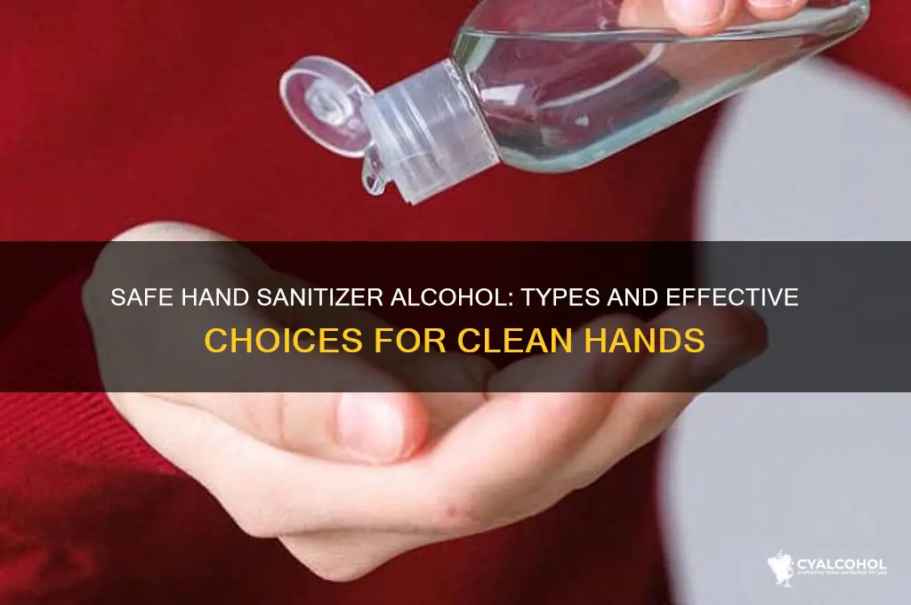 Safe Hand Sanitizer Alcohol: Types And Effective Choices For Clean ...
