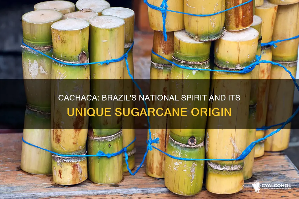 Cachaca: Brazil's National Spirit And Its Unique Sugarcane Origin ...