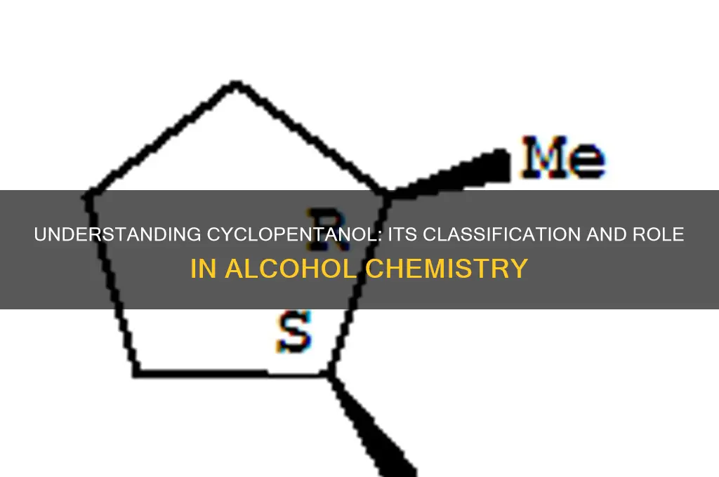 Understanding Cyclopentanol: Its Classification And Role In Alcohol ...