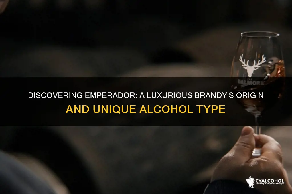 Discovering Emperador: A Luxurious Brandy's Origin And Unique Alcohol ...
