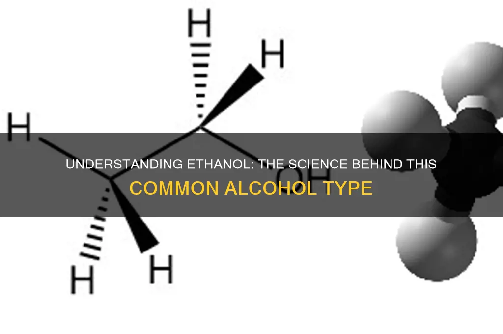 Understanding Ethanol: The Science Behind This Common Alcohol Type ...