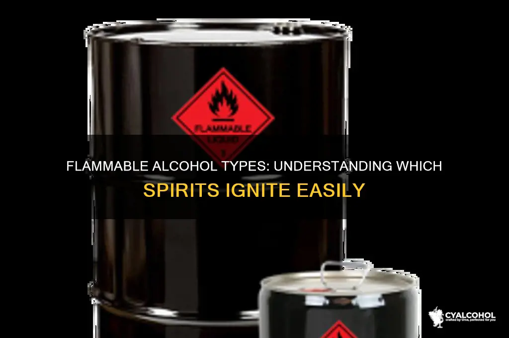 Flammable Alcohol Types: Understanding Which Spirits Ignite Easily ...