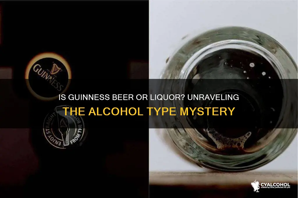 Is Guinness Beer Or Liquor? Unraveling The Alcohol Type Mystery | CyAlcohol